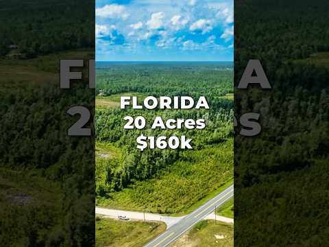 FLORIDA Land for Sale • 20 Acres with Power & Road Frontage • LANDIO