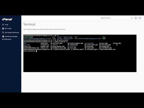 How To Import A Large MySQL Database Using Command Line In cPanel – No Experience Needed