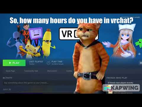 Steam Community :: Video :: "So how many hours do you have on VRChat?"