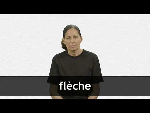 English Translation of “FLÈCHE” | Collins French-English Dictionary