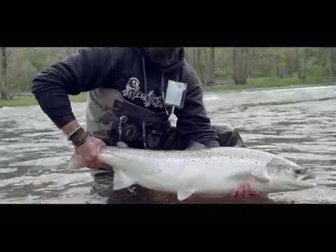 Silver Monsters