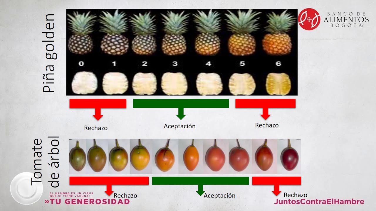 Criterios de rechazo y aceptación de alimentos