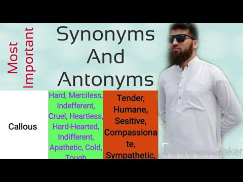 Synonyms and Antonyms, All Types Of Test Preparation. Urdu/Hindi