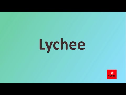 meaning and how to pronounce Lychee | U Vocab