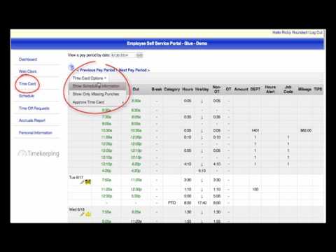 TimeWorks Plus - Employee Self-Service Portal