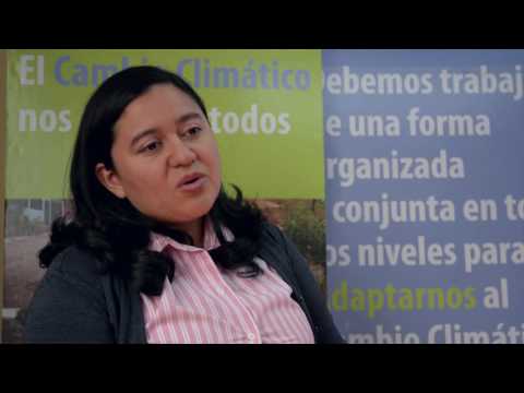 Sistema de Estaciones Metereológicas