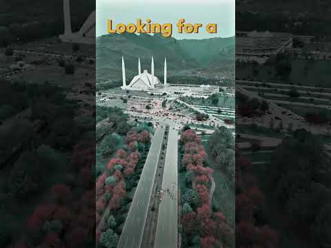 Live Satellite View GPS Map