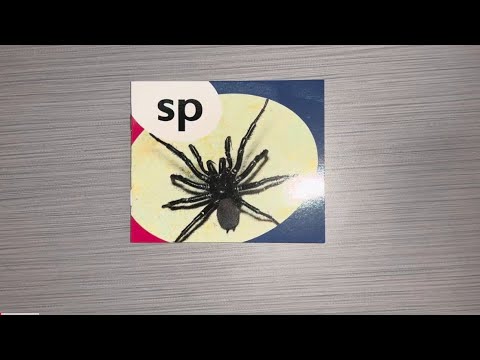 phonics - sp blend by Rigby focuses on words that start with the sp blend.