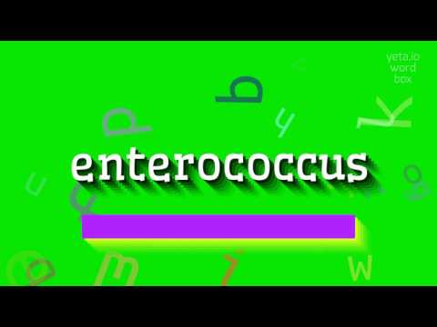 ENTEROCOCCUS - HOW TO PRONOUNCE ENTEROCOCCUS? #enterococcus