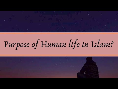 Purpose of life according to Islam