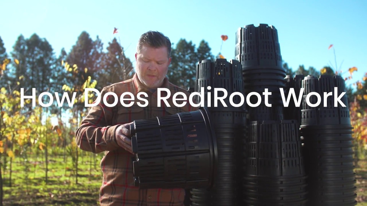 How Does RediRoot Work