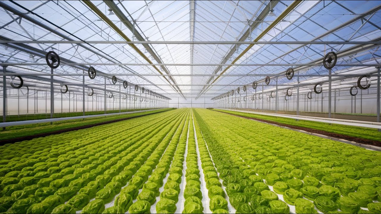 Exploring High-Tech Agriculture: Automated Systems, Superior Productivity, Clean Food for Everyone