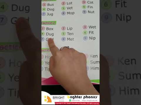 Phonics Box - Nip