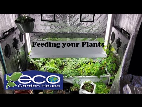 Growing Indoors « The Wisconsin Vegetable Gardener
