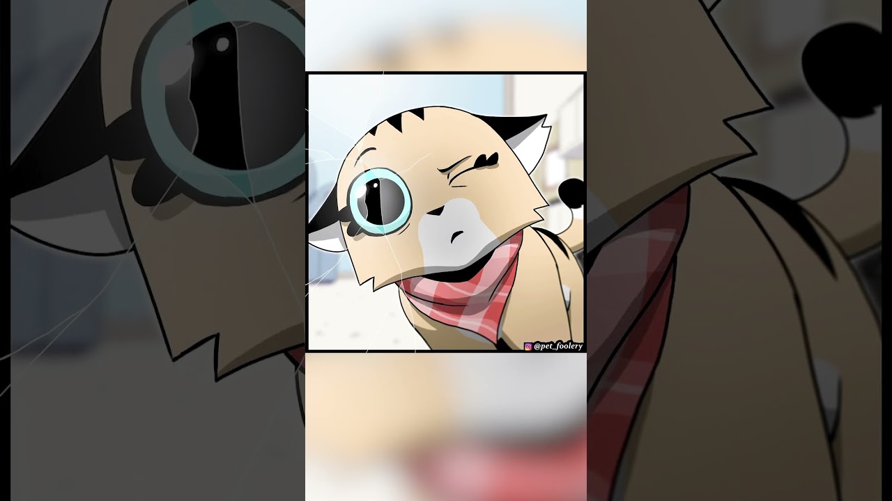 Pixie & Brutus: Camera