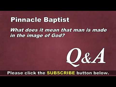 Q&A What does it mean that man is made in the image of God?