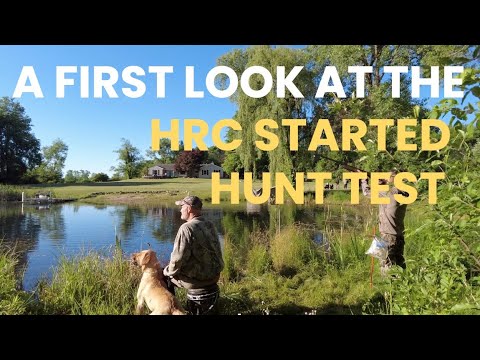 A FIRST LOOK AT THE HRC STARTED HUNTING RETRIEVER TEST