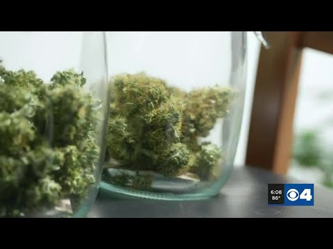 MO announces lottery results for marijuana microbusinesses