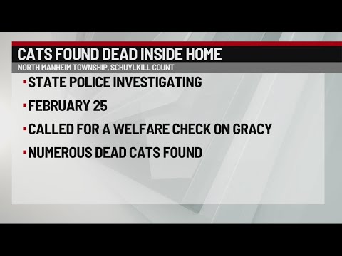 PSP: Numerous cats found dead inside home