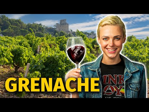 GRENACHE / GARNACHA Grape: The Wine World's Next Big Thing!