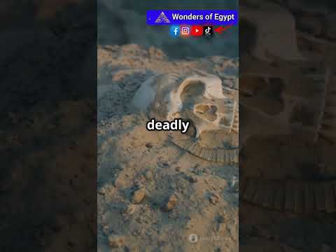Real Curses of Ancient Egypt: True Stories of the Pharaohs' Wrath #ancientegypt #egyptianhistory