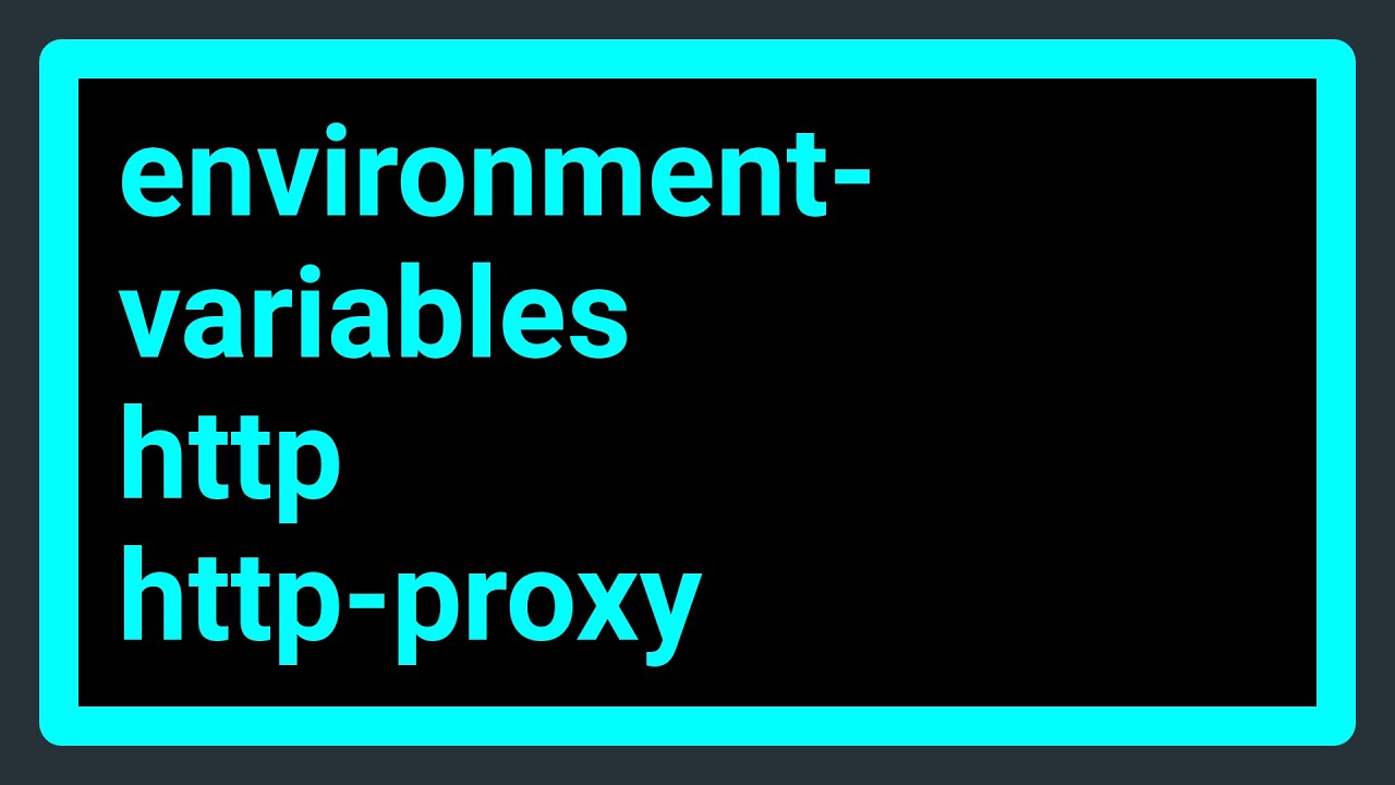 Are HTTP_PROXY, HTTPS_PROXY and NO_PROXY environment variables standard?