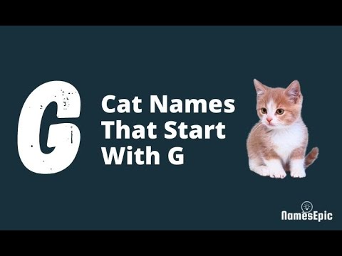 20 Best Cat Names That Start With G | Male and Female Cat Names