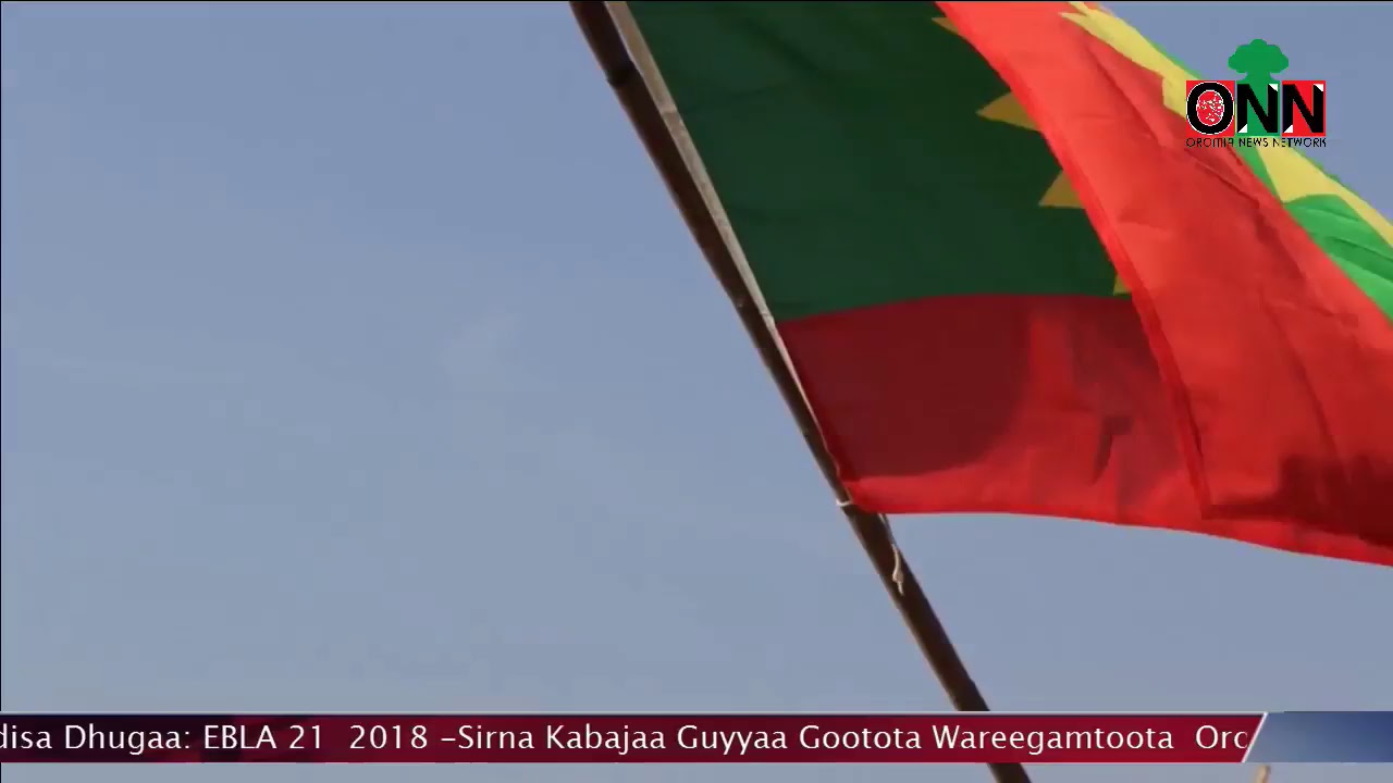 ONN LIVE: Sirna Kabajaa Guyyaa Gootota Wareegamtoota  Oromoo: Jiddugala Mooraa Leenjii ABOtti   2ffa