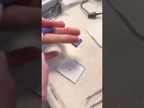 How to mix sealer to get the desired consistency. #endodontist #dentist #rootcanal #dentistry #tooth