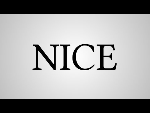 What Does "NICE" Stand For?