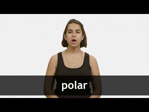 English Translation of “POLAR” | Collins French-English Dictionary