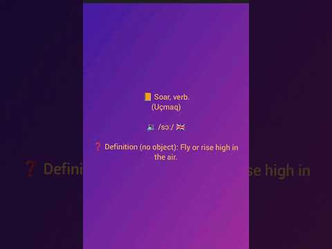 soar meaning and its definition
