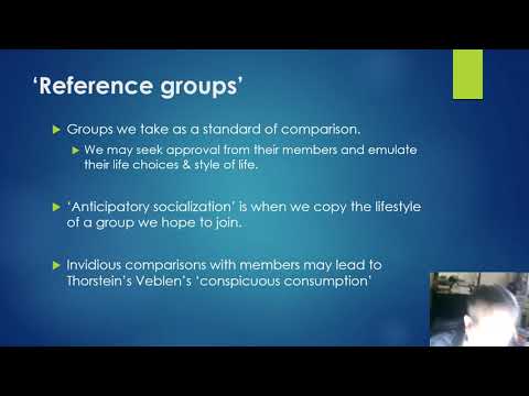 Social groups