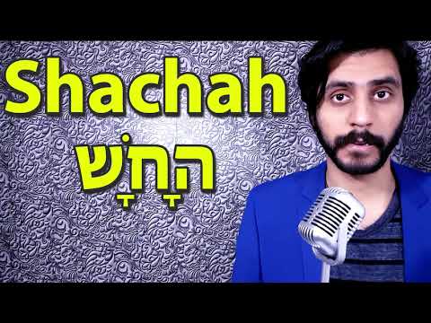 How To Pronounce Shachah 砖指讈讞指讛