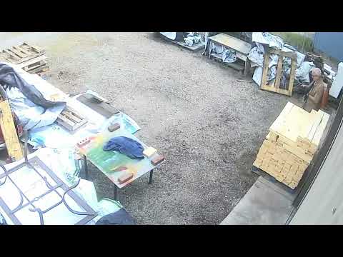 Phase III - Remove 600 Pounds of Wood Clear Area Space May 21.2025