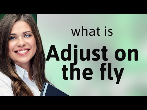 Understanding "Adjust on the Fly": A Guide for English Learners