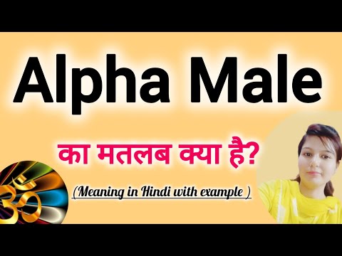 Alpha male meaning in Hindi Alpha male ko hindi m kya khte h Alpha male ka mtlb hindi mai