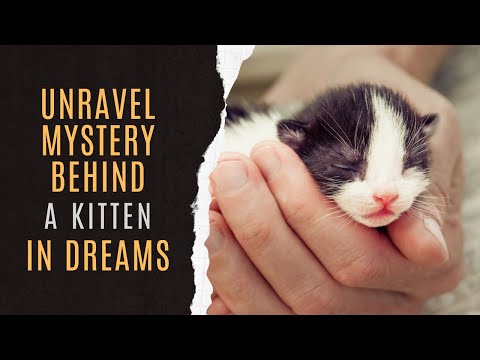 🐈Dreaming Of Kitten Interpretation | Decoding Kitten Dreams | Kitten Dream Dictionary