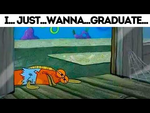 Que significa y de donde proviene la palabra meme | Actitudfem