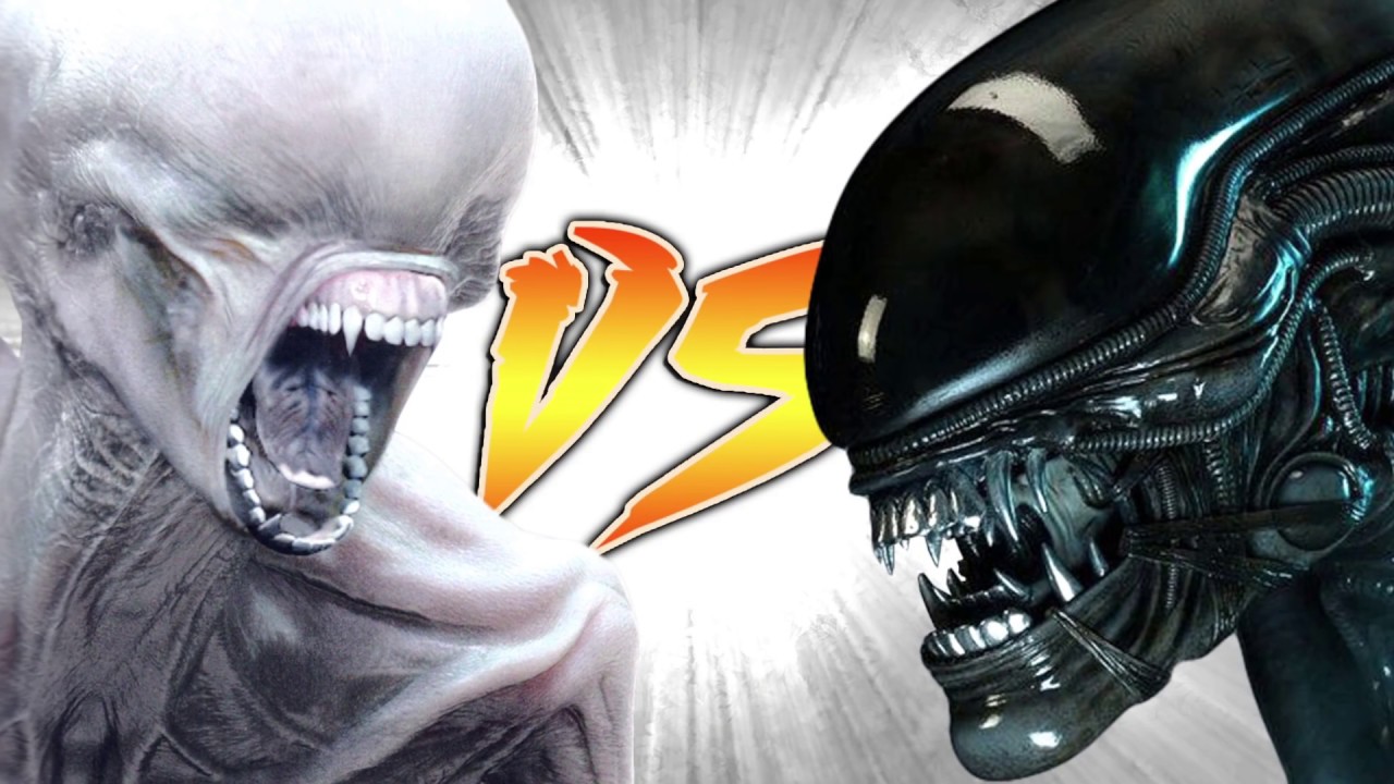 NEOMORPH VS XENOMORPH