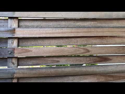 Waterproofing Timber | How To Waterproof Timber - Tech-Dry Australia