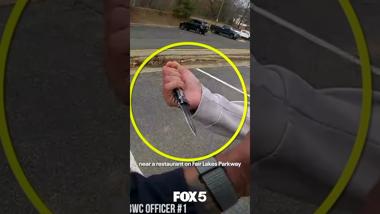 Video shows 16-year-old stab Fairfax County police officer