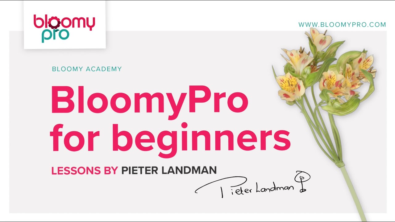 BLOOMYPRO FOR BEGINNERS (virtual flower arranging)