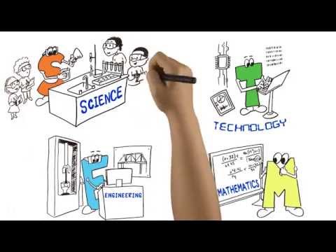 What is STEM