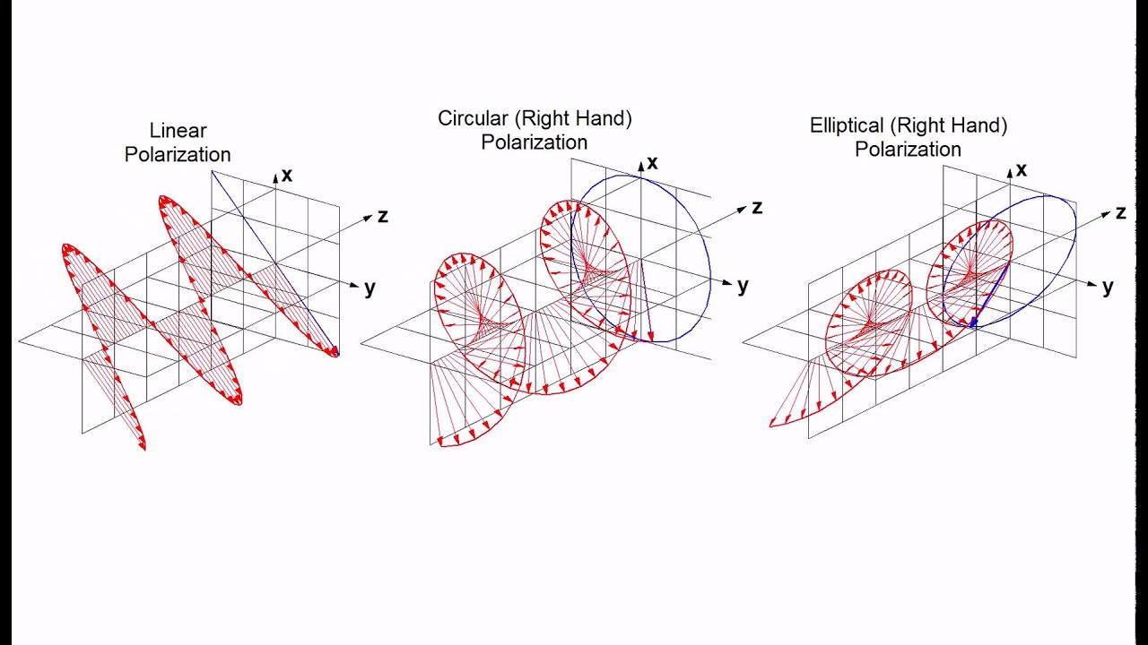 Linear, Circular and Elliptical Polarization Animation in a Single Shot