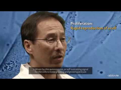 HeLa Cells Explained