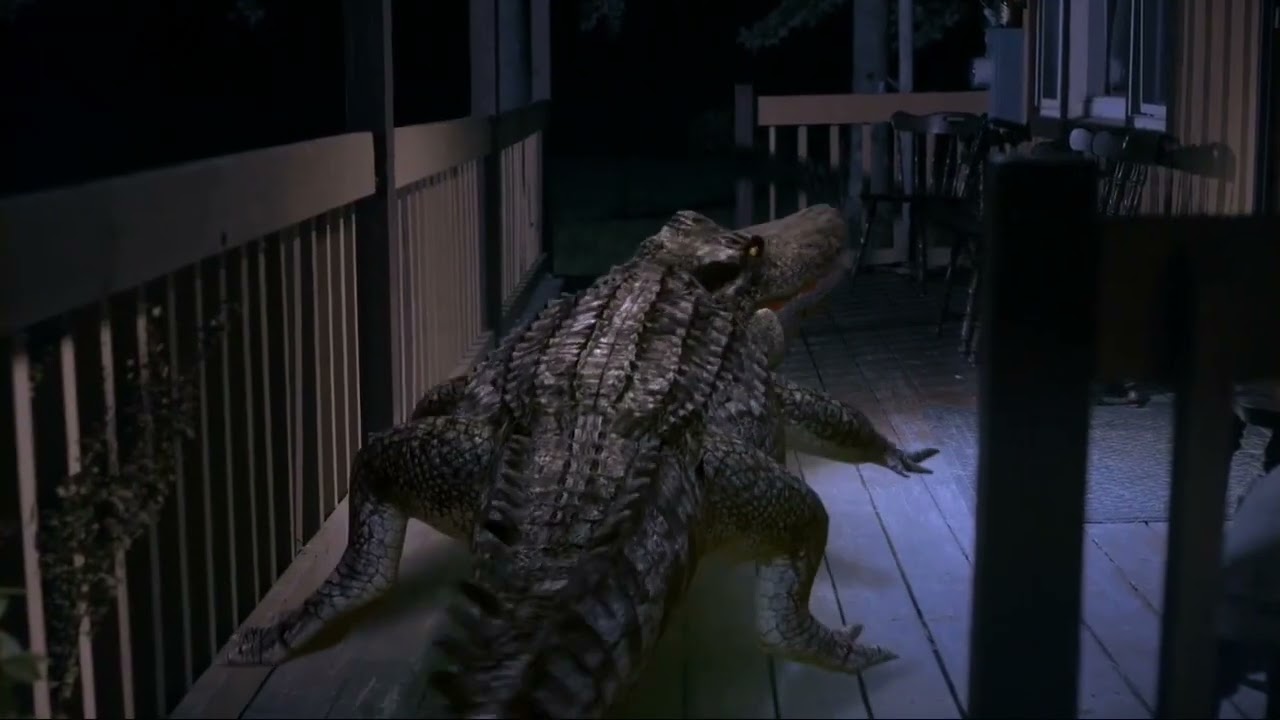 BAD CGI GATOR / MUSIC VIDEO