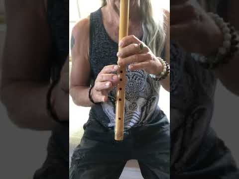 No Brand Khlui Thai Ducted Bamboo Flute 1990's - Glossy | Reverb