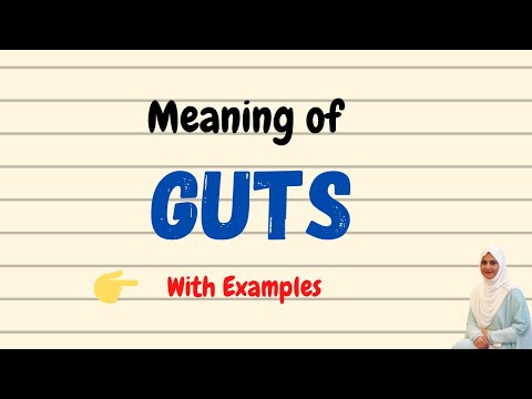 Daily vocabulary | Guts Meaning | Vocabgram