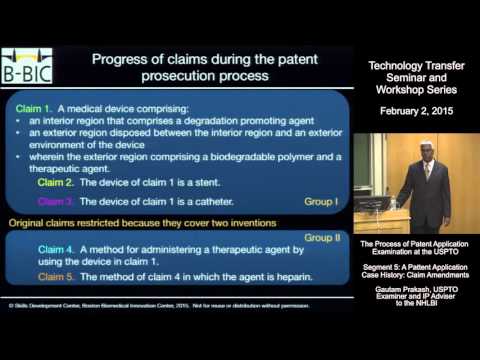 A Patent Application Case History: Claim Amendments